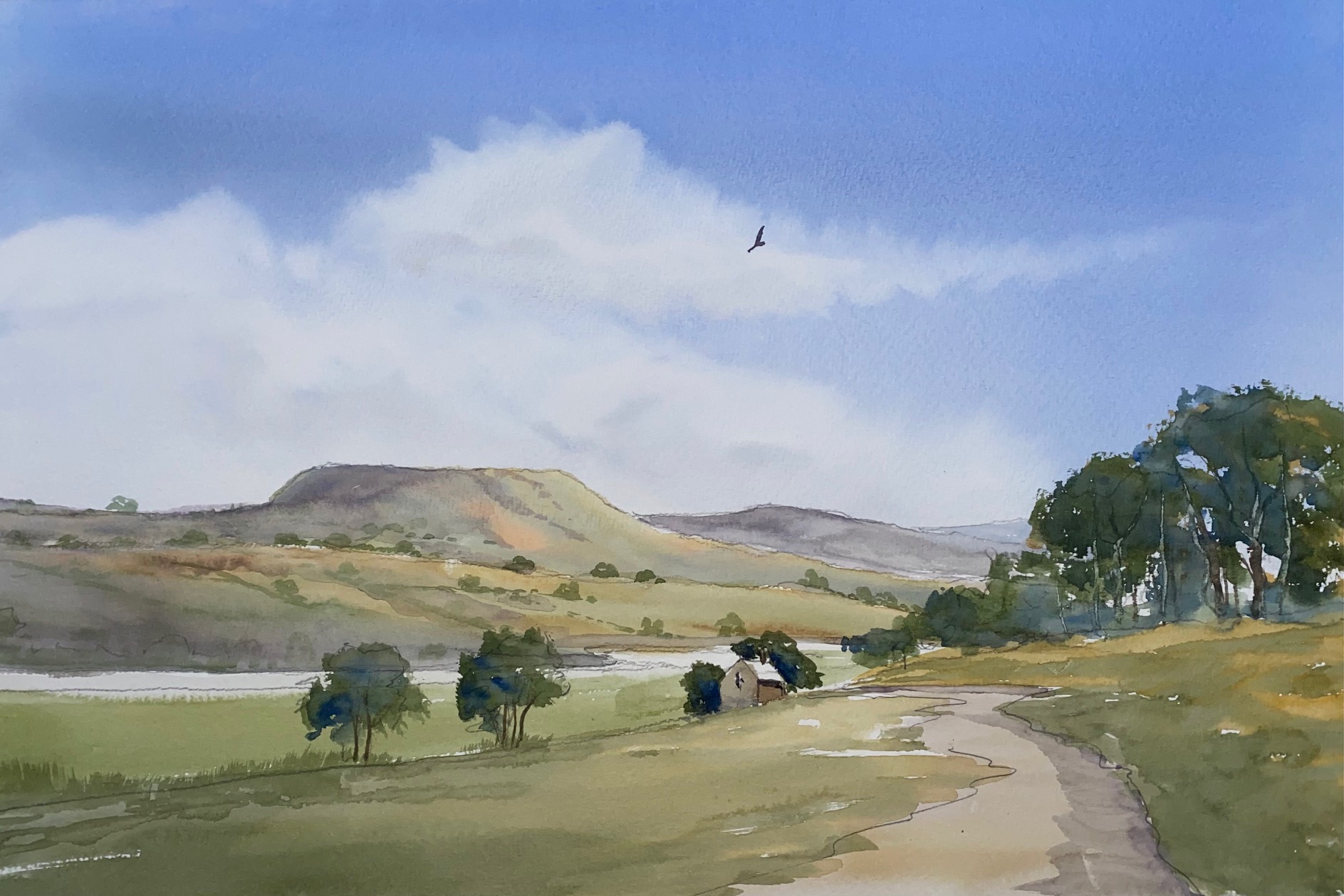 IMG_0824 – Charles Evans Art